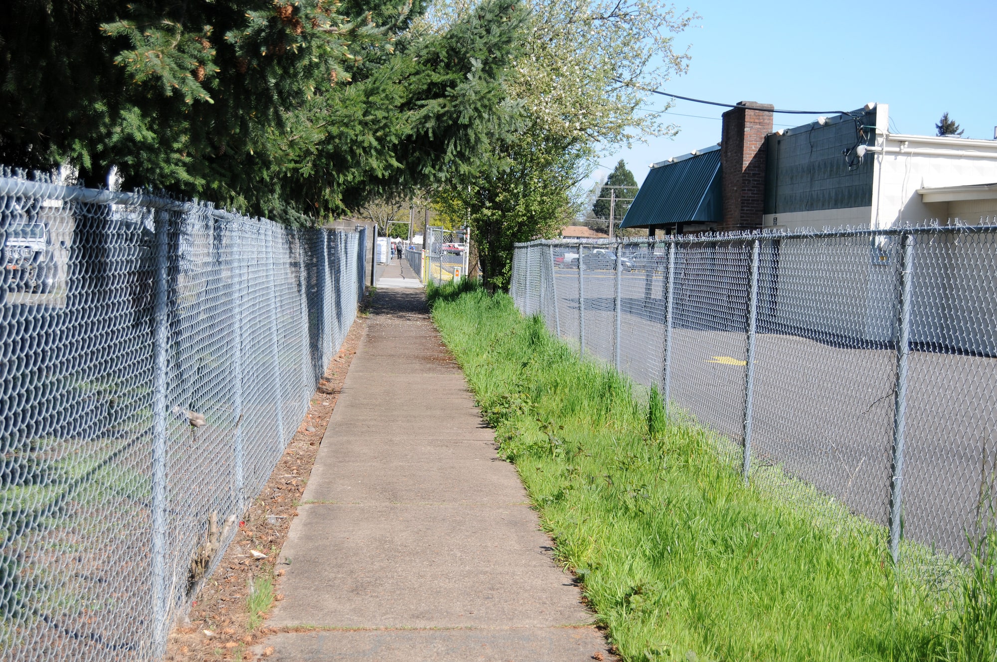 How to Trim Grass Around a Chain Link Fence - Thankyourlawn